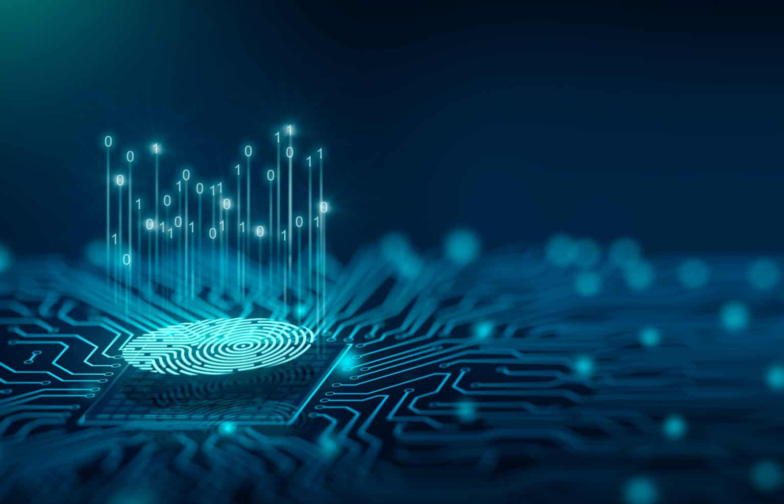 Identity Verification - Enformion